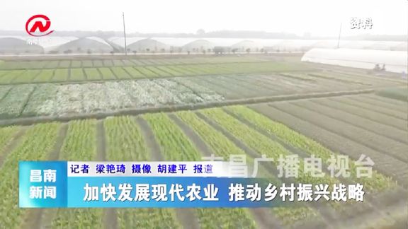 南昌:加快发展现代农业,推动乡村振兴战略