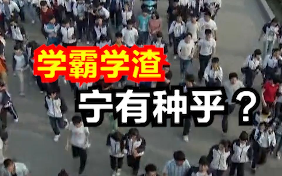 高考季漫谈:“分班教学”那些事儿