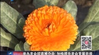 视频|举办农业招商推介会 加快提升农业发展能级
