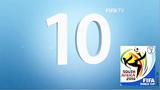2010南非世界杯进球Top10