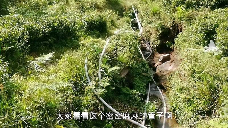 用管子把山沟沟里溪水引回家用,生活用水足够了干净好喝甘甜可口