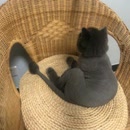 穿着红色帆布鞋 