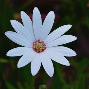 阿所谓的低功耗 