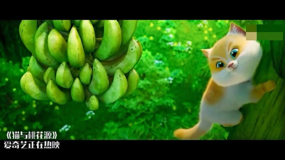 小猫自己做了滑翔翼,还真的能飞,和航拍器肩并肩了