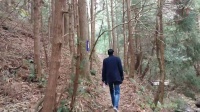 梦幻森林之满田高清完整版