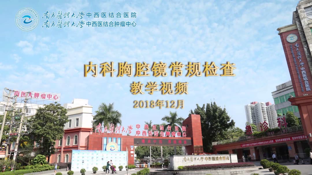 内科胸腔镜检查操作视频