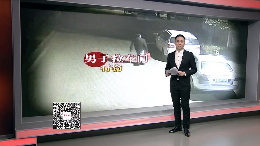 【案件聚焦】男子拉车门行窃 警方2个多小时破案