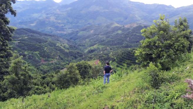硬核坚守!她砸掉金饭碗上山种树,30年种世界最大夏威夷果林