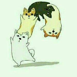 意大利高级贵族狗粮 