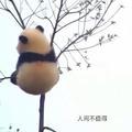 逐尘小飞 