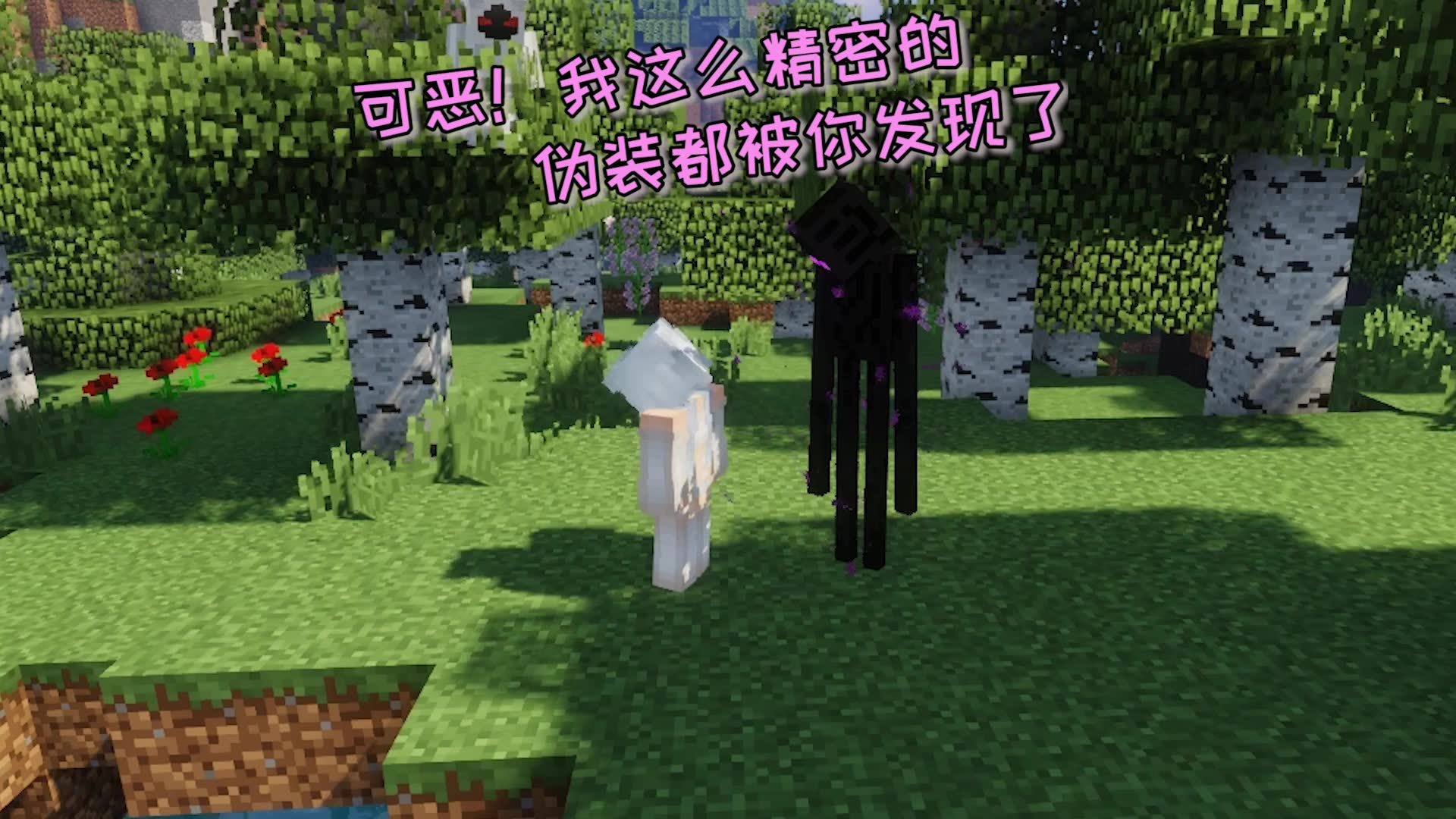 我的世界:303和白喵都被我抓到了,我真是太厉害了