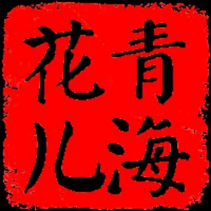青海花儿青海小调 