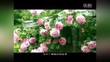 中国工商银行张家洼支行