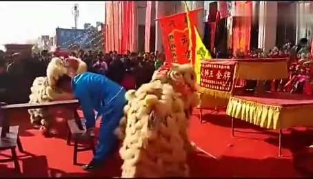 舞狮子表演视频 比赛视频高清