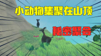 木筏求生:我来到高山岛山顶寻找信号塔,看见动物们在开动物大会