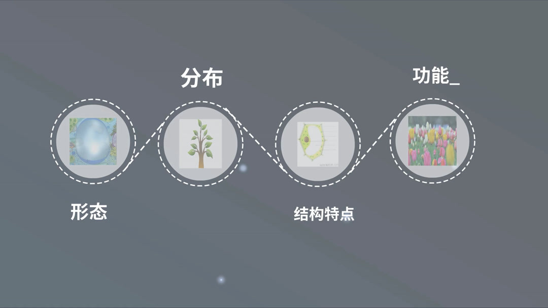 【动态课件制作】两分钟轻松掌握神奇的植物细胞结构