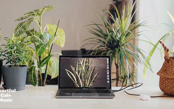 ...室音乐-商店BGMCalming Office Music Mix【For Work Study】Restaur