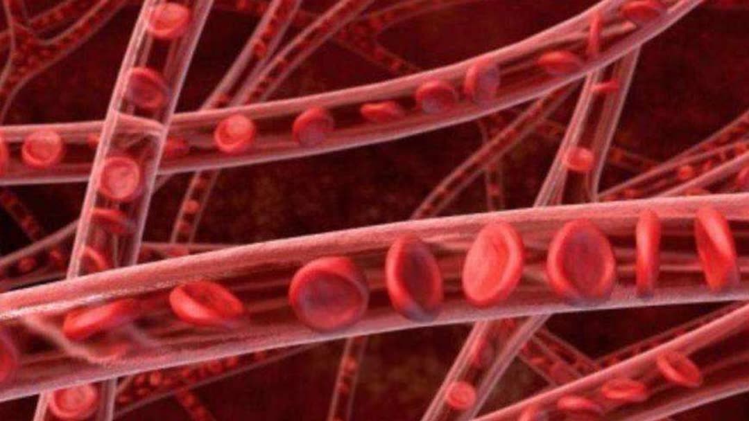 人死之后,身体里的血液到底去哪了?看完整个人都不好了!