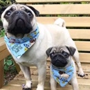 超爱你们的我hy 