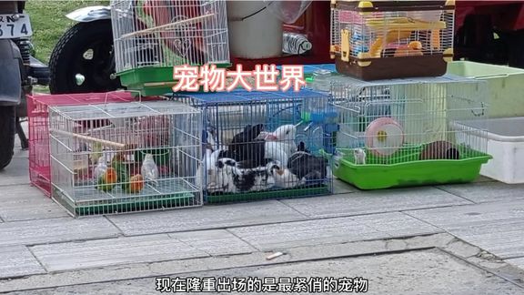 难得天晴,出摊啦!今日出摊有点坎坷,安全演练、转场,收入惊人