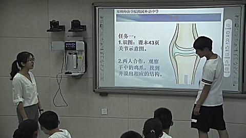 18.人教版初中生物八年级上册《第一节 动物的运动》河南省省级优课