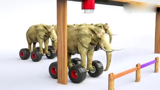 幼儿益智早教动画 大象表演杂技过匝道变化颜色