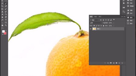 15 ps教程- 快速选择和魔棒工具的应用操作
