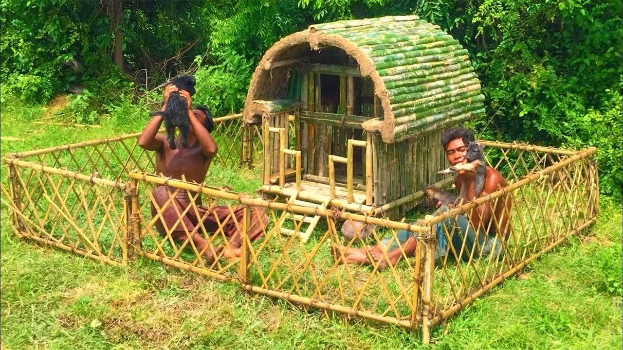 荒野男孩建造美丽的野狗之家,网友:实名羡慕!