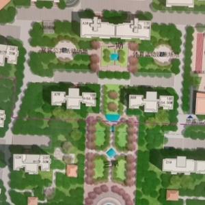 杨老师讲数学123 