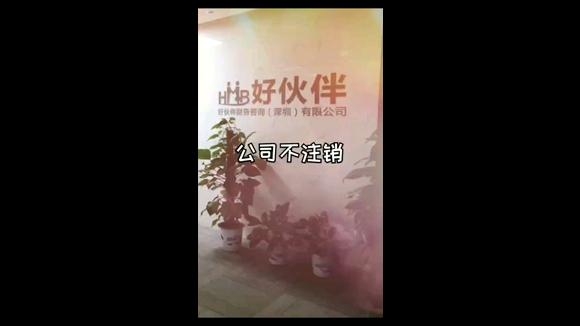 公司不经营,不报税,不注销,会有那些影响