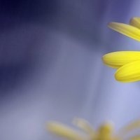 生活妙趣展 