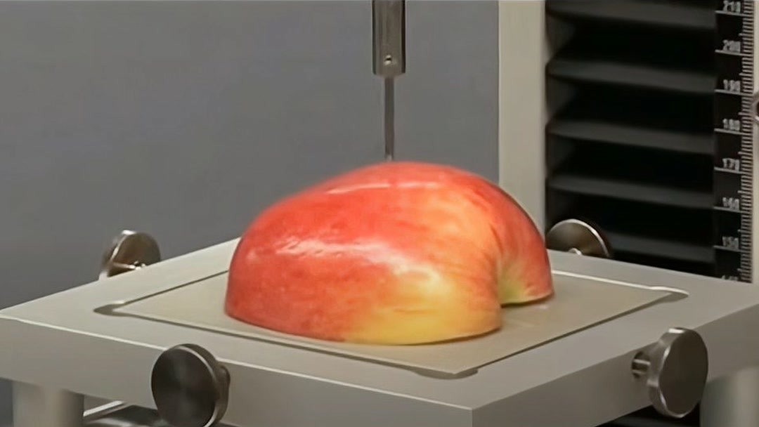 拉伸试验在食品行业的应用