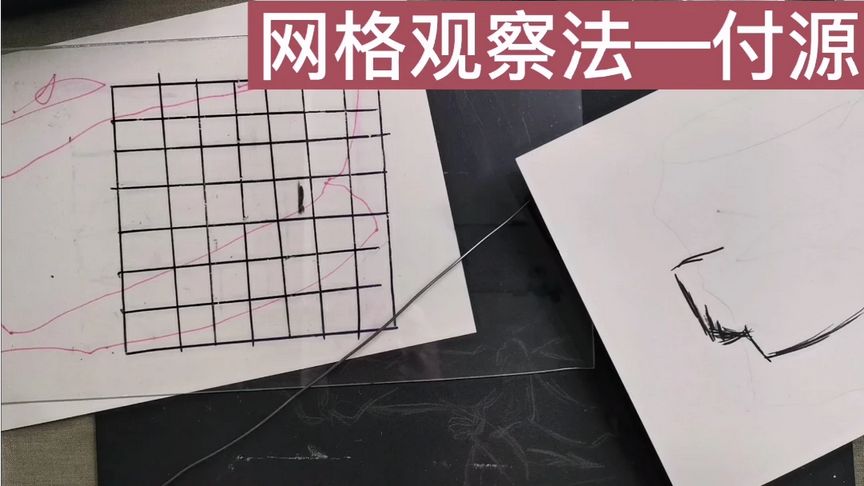 绘画历史中的“网格观察法”