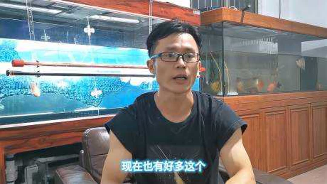 鱼缸过滤一:外置过滤优缺点,听听老四怎么说