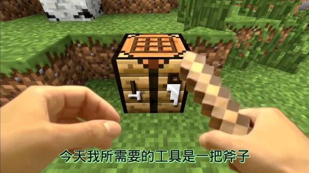 我的世界:新手在这里生存,这个样子能够活几天