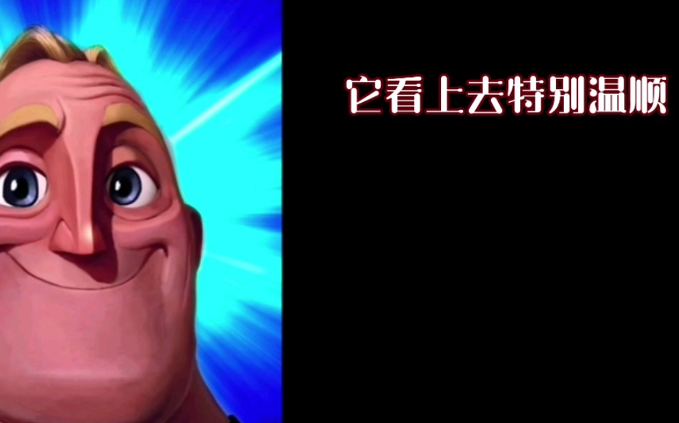 【超能先生】当你过年去亲戚家被狗咬后…