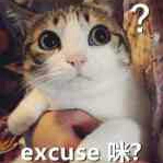 儒雅随和嘴有蜜 