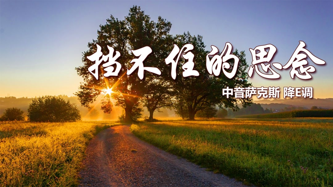 萨克斯演奏《挡不住的思念》,流行新民谣,深情婉转太好听了!
