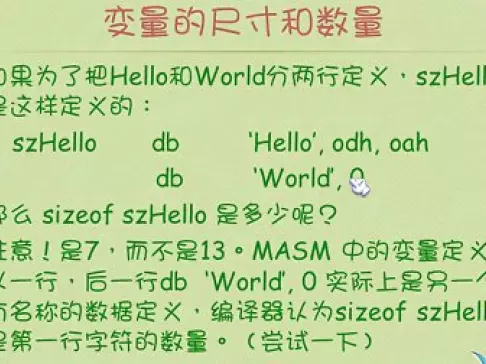 019使用MASM11(变量的使用2).mp4