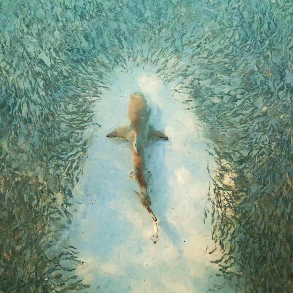 该网页无法显示_ 