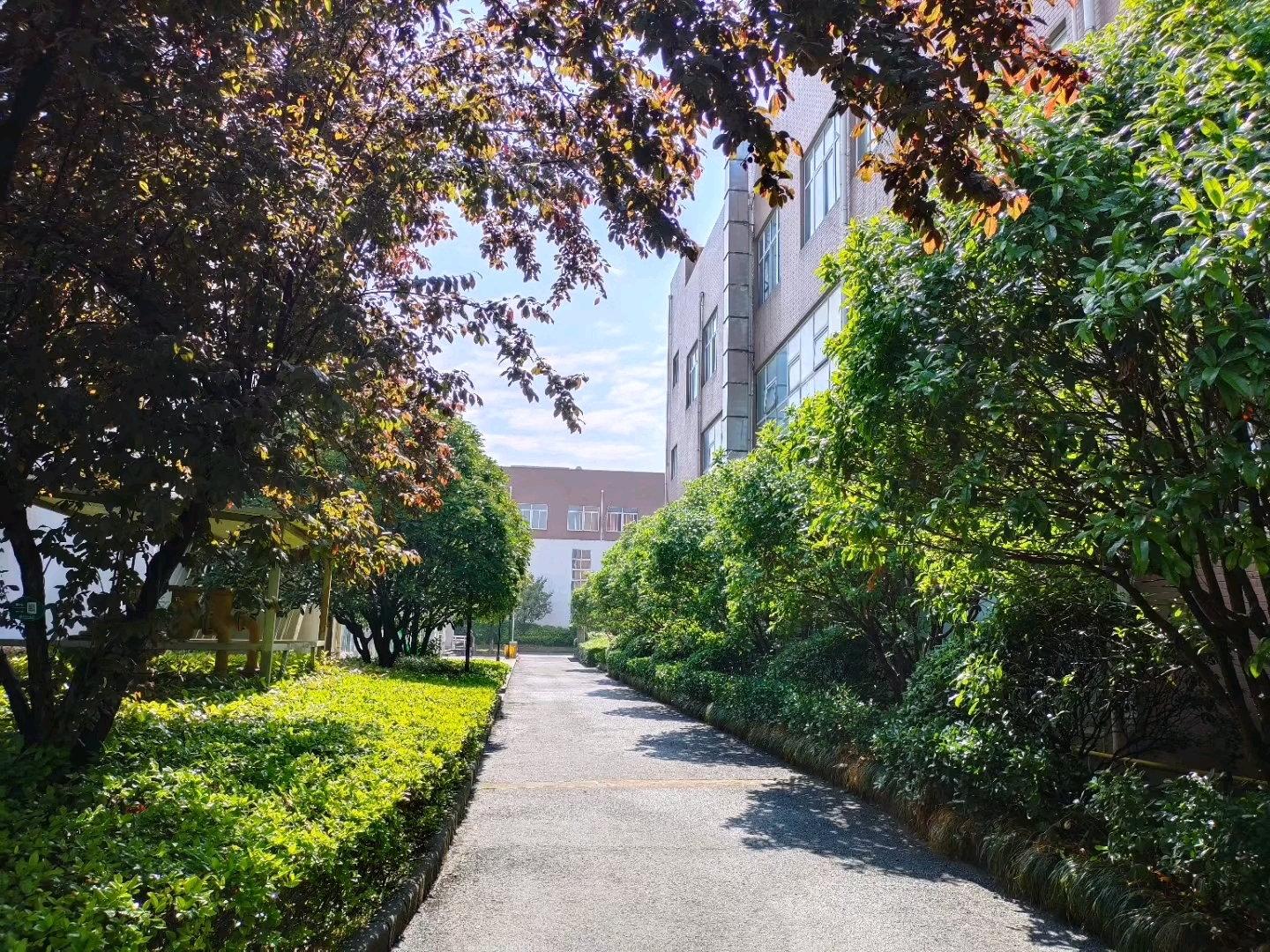 南京林业大学淮安校区～校园风景
