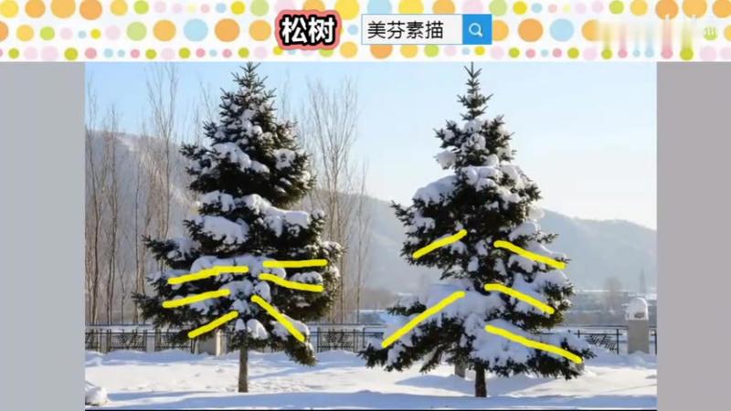 素描松树的画法步骤,教你用素描铅笔简单几下画好看的植物!