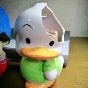 自由飞翔来玩耍 