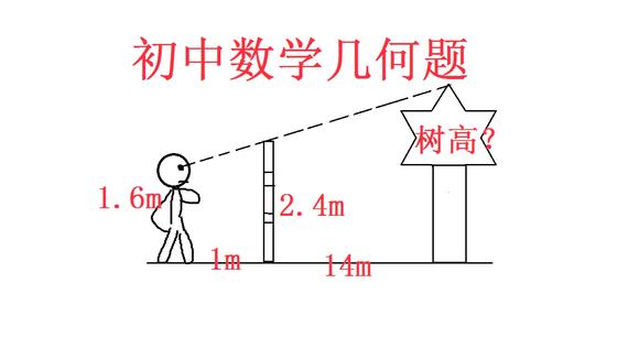 初中数学几何题的实际运用,利用相似三角形来求出树的高度