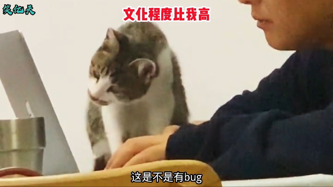 看样子它的文化程度比我高#配音模仿