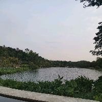 巧夫人在线教你做手工 