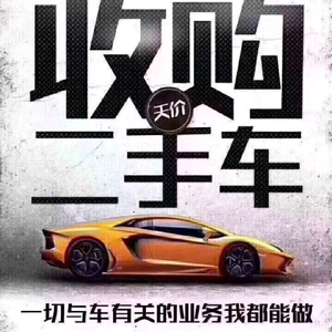 百色青头鸭二手车 