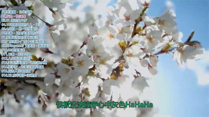 《经典老歌》 粤语歌曲大合集