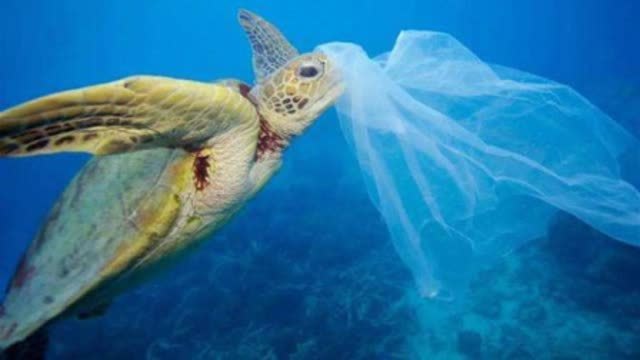 我国在海洋资源开发领域取得子哪些成就?