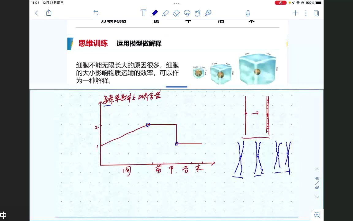新课程高中生物必修一第六章 6.1细胞的增殖 第4部分